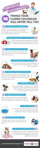 REAL Duties of a Veterinary Technician - Animal Bliss