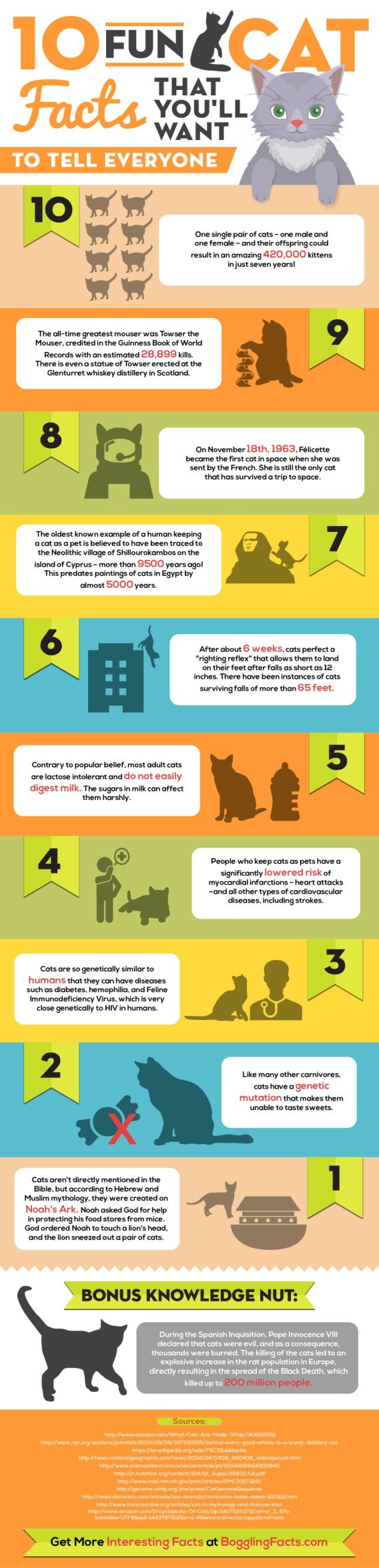 10 Fun Facts About Cats You Never Knew 10 Fun Facts About Cats You Never Knew