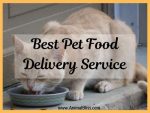 Choosing the Best Pet Food Delivery Service - Animal Bliss