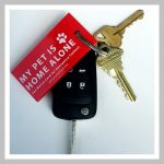 Pet Home Alone Card : Pet Safety to the Next Level