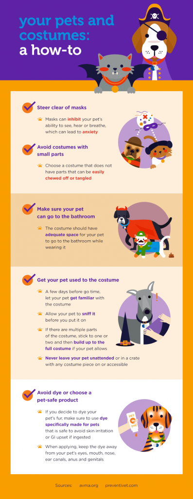 Halloween Pet Safety Tips and Pet Costume Advice