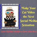 Make Your Cat Videos the Next Social Media Sensation (and Maybe Pocket ...