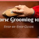 Keeping Your Horse Calm on Bonfire Night