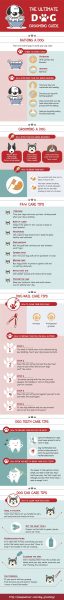 Ultimate Dog Grooming Guide Infographic