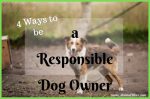 Getting a Dog? 4 Ways to be a Responsible Dog Owner