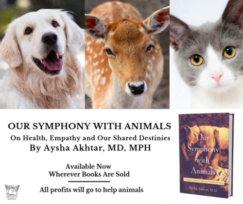 Our Symphony With Animals, Book by Dr. Aysha Akhtar - Animal Bliss