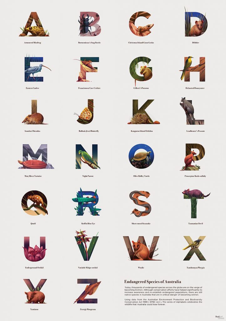 A-Z of Australia's Endangered Wildlife